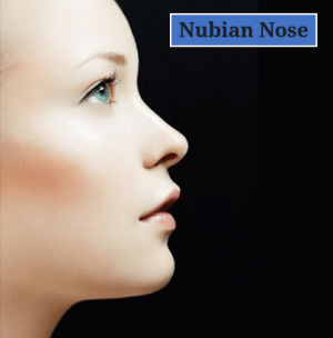 Sniff This!: The Different Types of Nose Shapes, Explained
