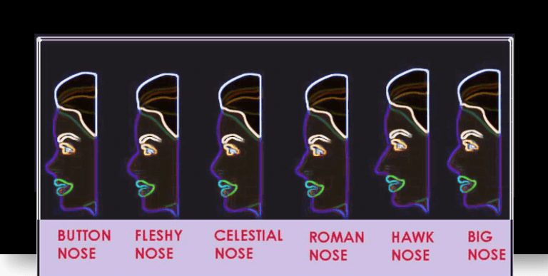 Sniff This!: The Different Types of Nose Shapes, Explained